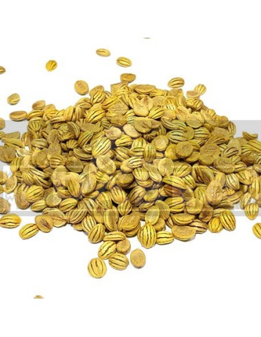 Chacruna (Psychotria viridis) 10 graines